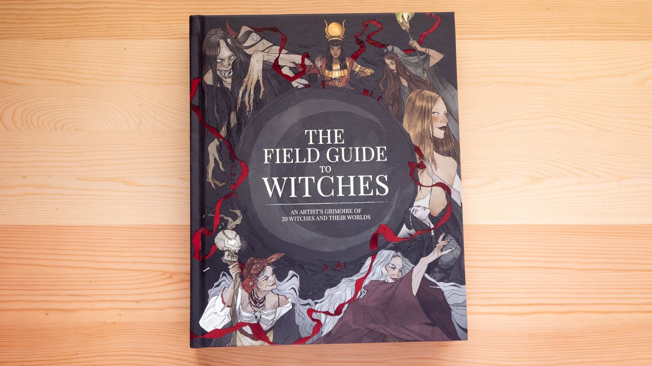 The Field Guide to Witches (book flip) - YouTube
