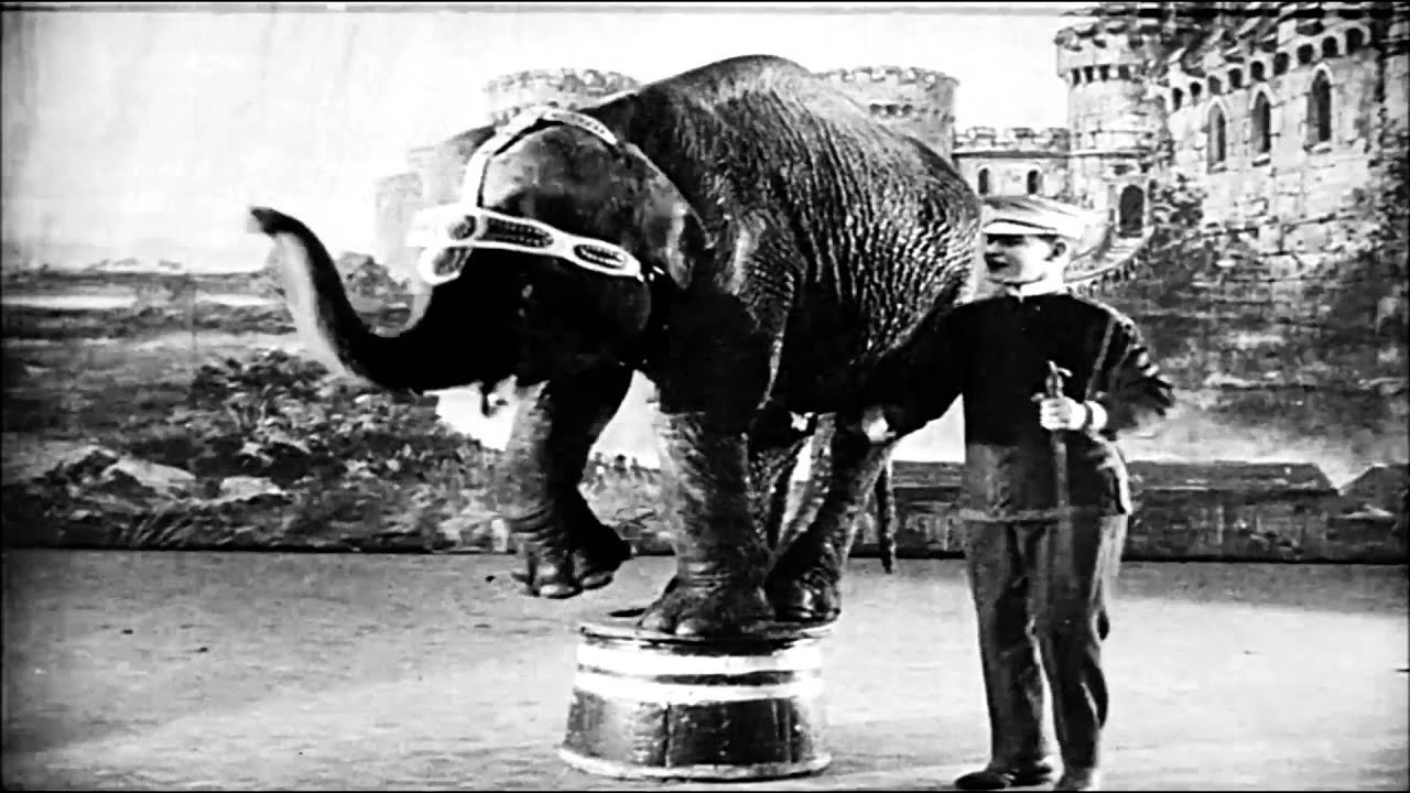 Bloodstepp - The Voodoo Trap (featuring Big Hoodoo) Official Music ...