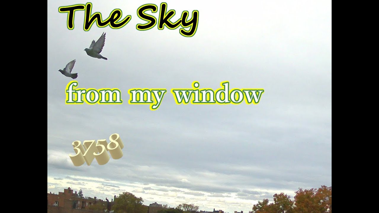 Timelapse North view from window (24hrs) queens NY USA 10-29-2025 - YouTube