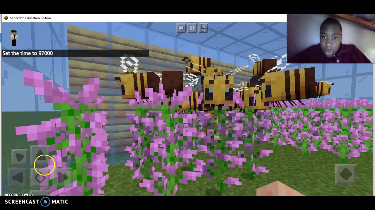 I Built a Bee Habitat In Minecraft - YouTube