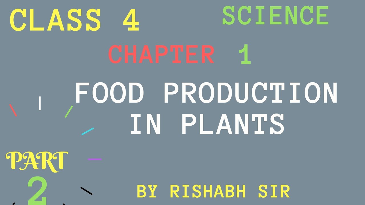 Class 4 Ch.1 Part 2 Food Production In Plants.(science) - YouTube