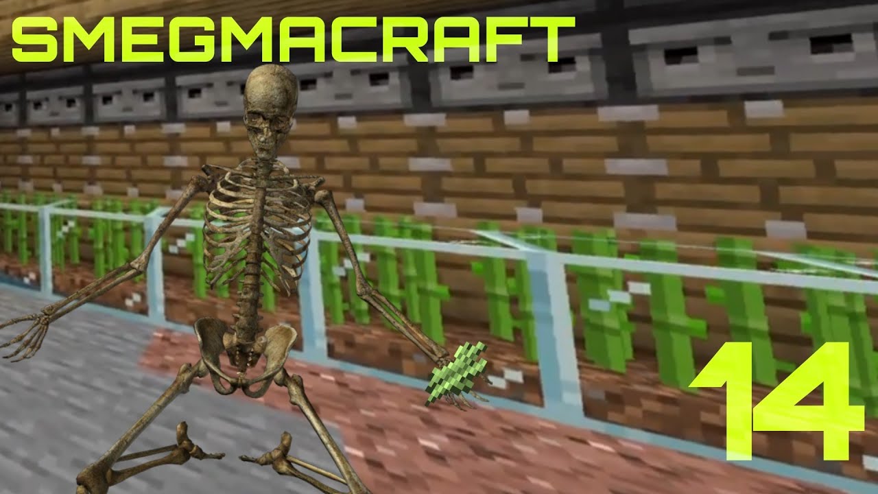 EPISODIO CHILL COSTRUZIONE FARM CANNE DA ZUCCHERO 🤭 - SMEGMACRAFT #14 ...