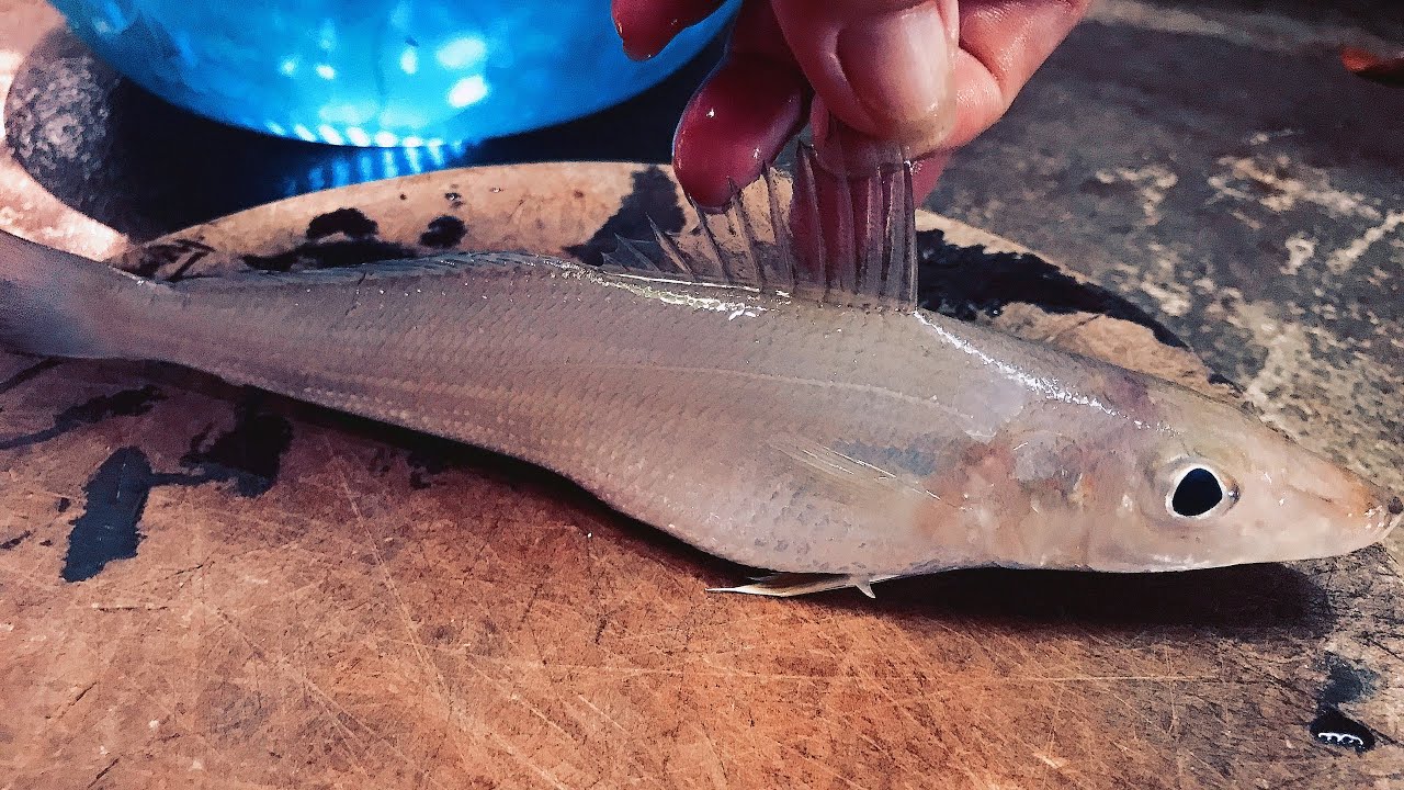 Fastest cutting skill whiting, amazing whiting - YouTube