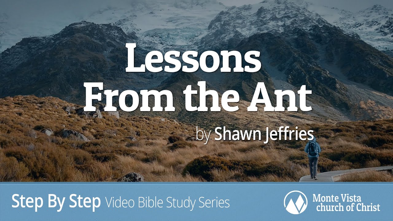 Lessons From the Ant - Step By Step Video Bible Study Series - YouTube