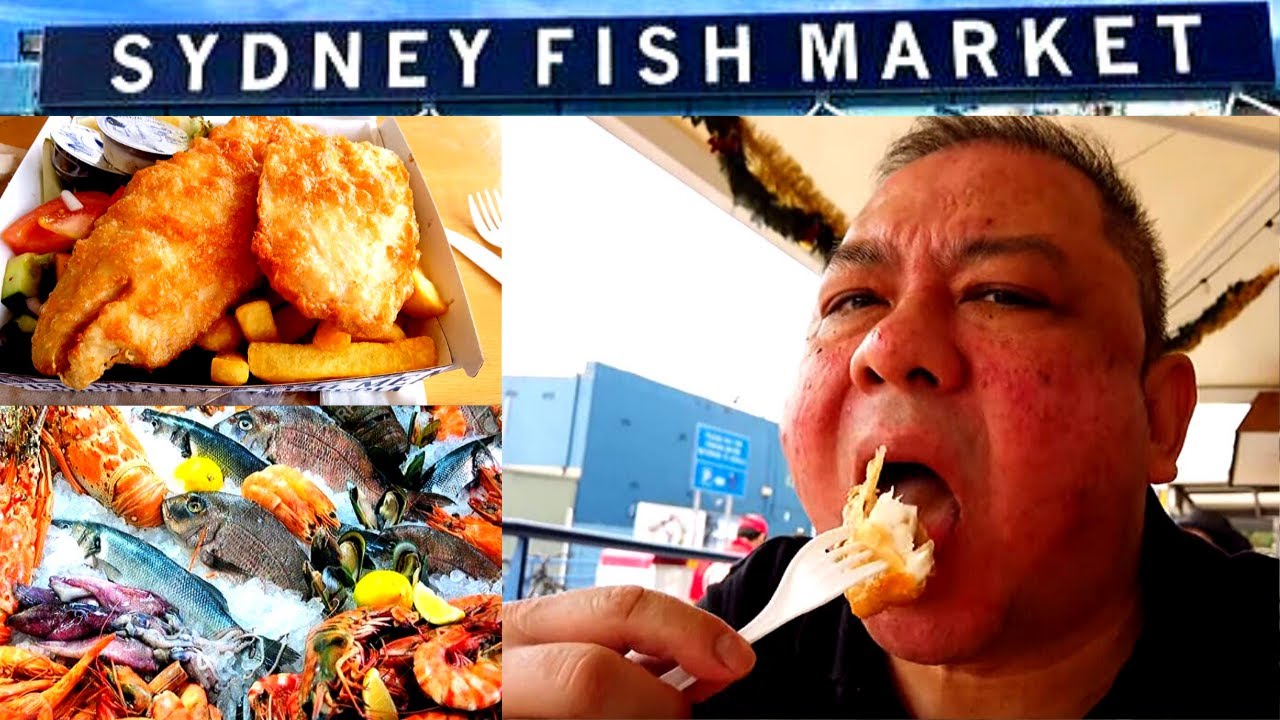 Sydney fish market 2019 | Sydney food, sydney vlog, sydney fish market ...