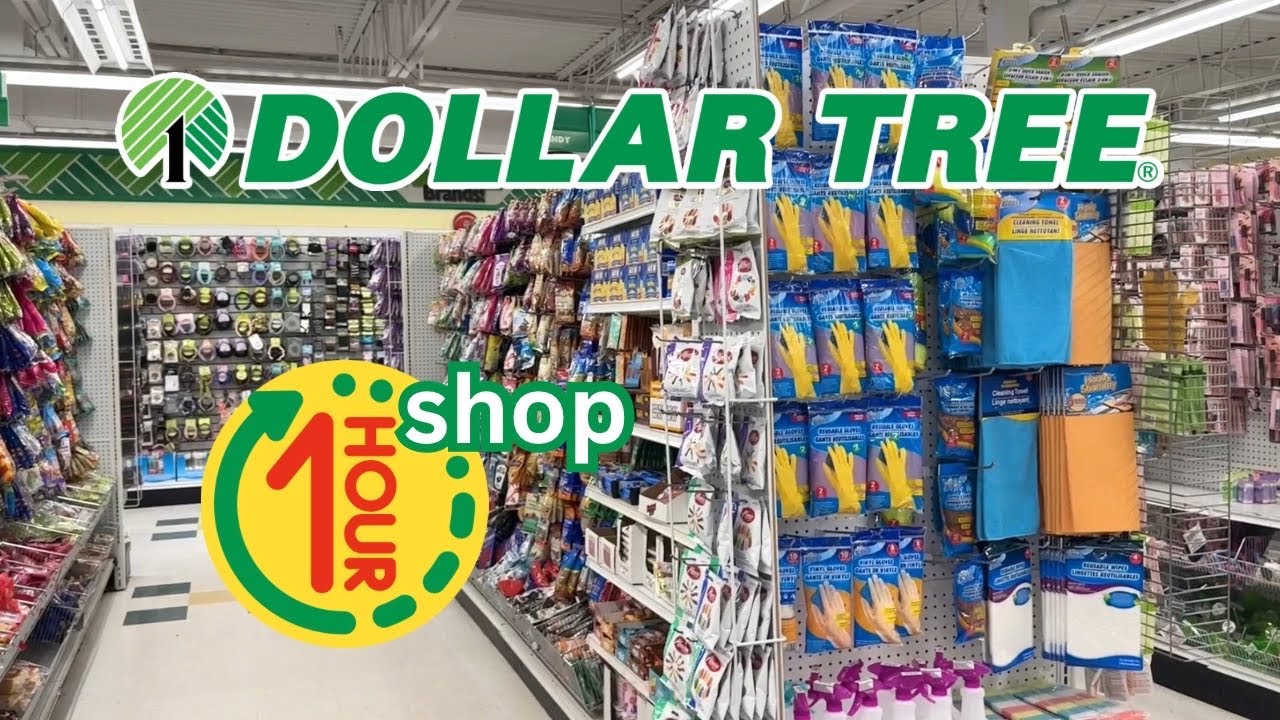 1 Hour Dollar Tree Shop with me *compilation - YouTube