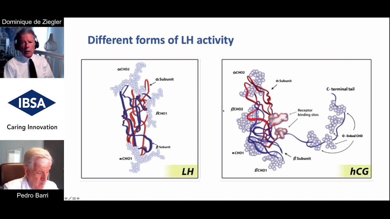 Choosing the OS protocol: hCG helps modelling nature - YouTube