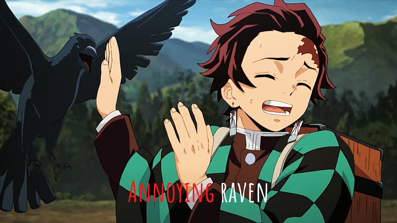 Annoying Raven - Demon Slayer - YouTube