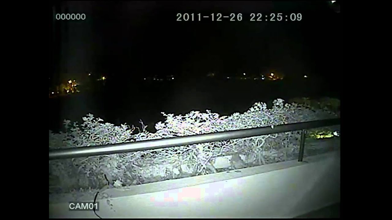 2011 12 26 Chick watches fireworks - YouTube