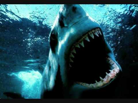 Lex Gorrie - Shark Attack (Matador Remix) - YouTube