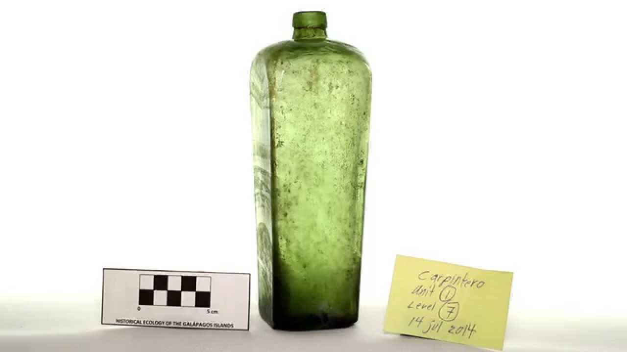 Whiskey, Wine, and Champagne: The Material Culture of El Progreso ...