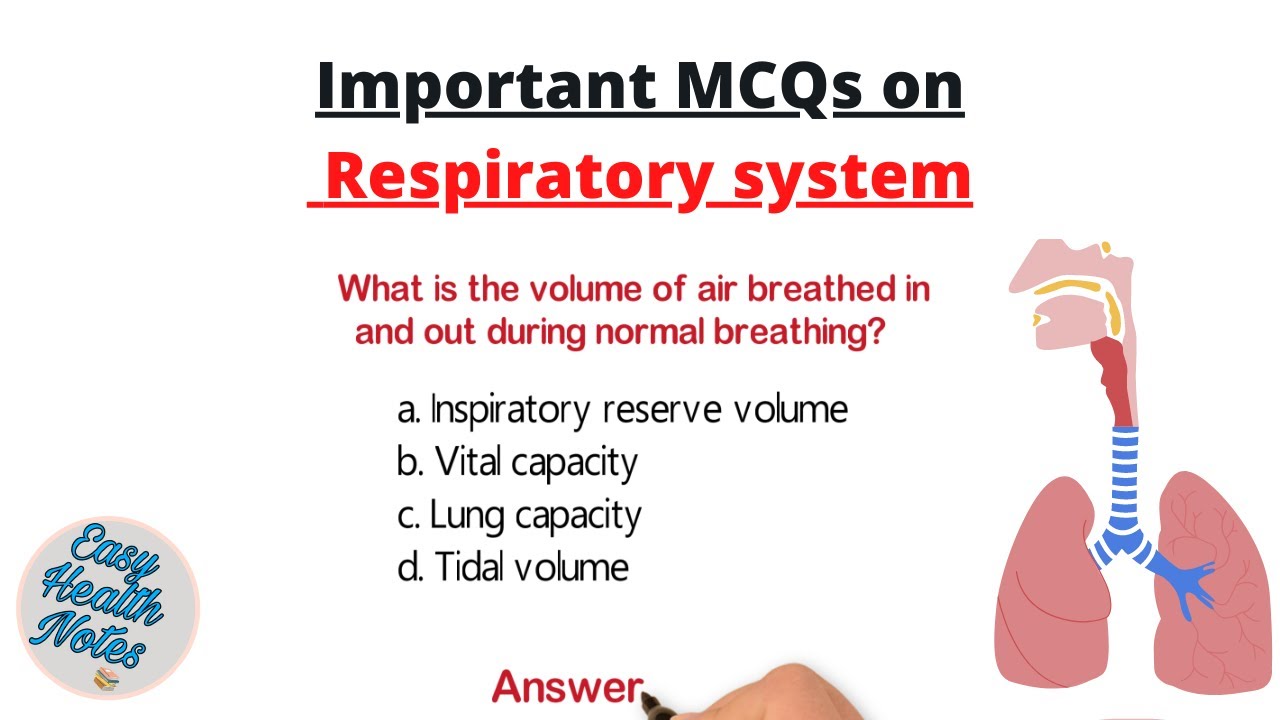 Know about the respiratory System ।। Important MCQs with answers - YouTube