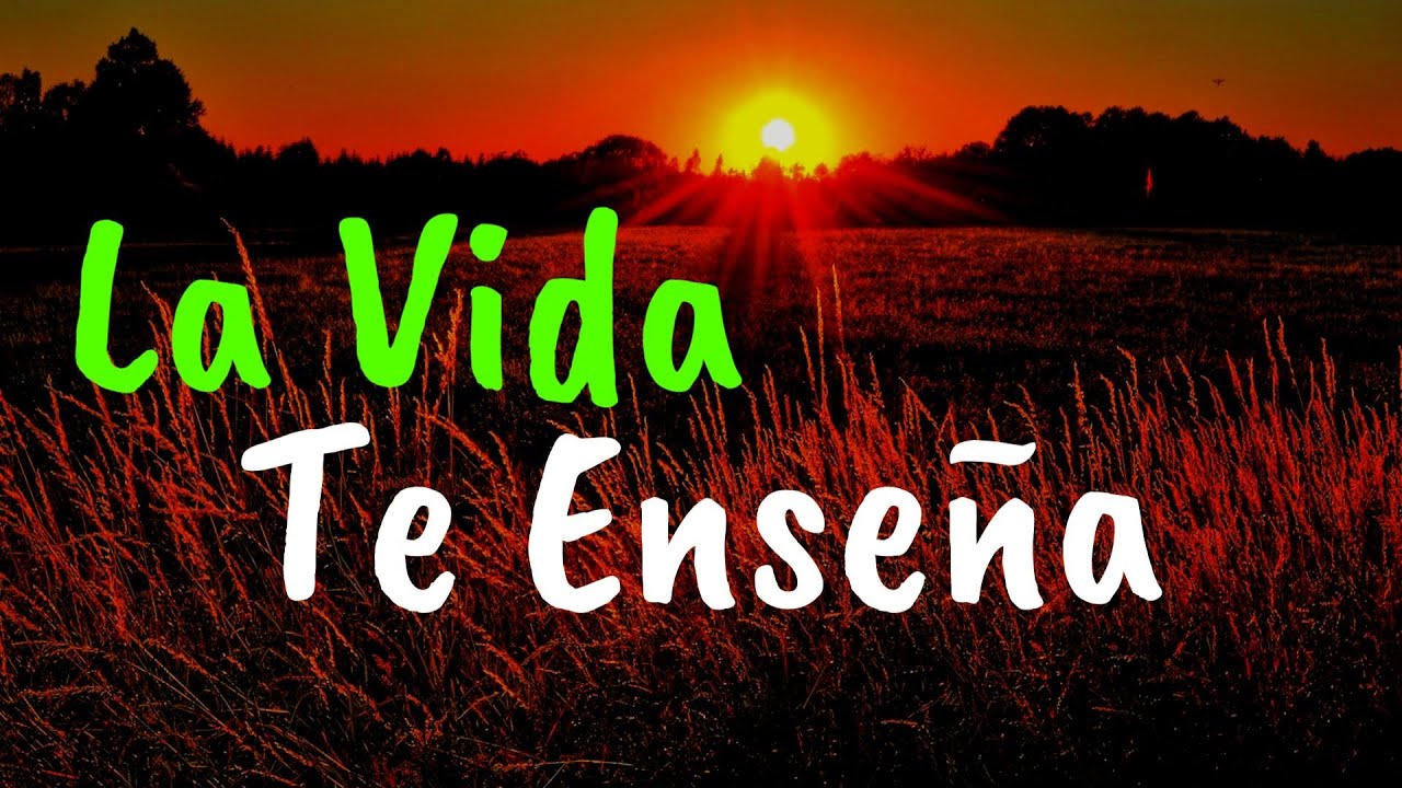 Cosas Que La Vida Nos Enseña ¦ Gratitud, Frases, Reflexiones, Versos, Reflexión, Amor Propio ...