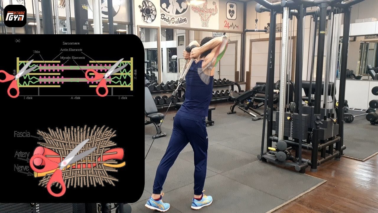 Standing Overhead Rope Triceps Extension - YouTube