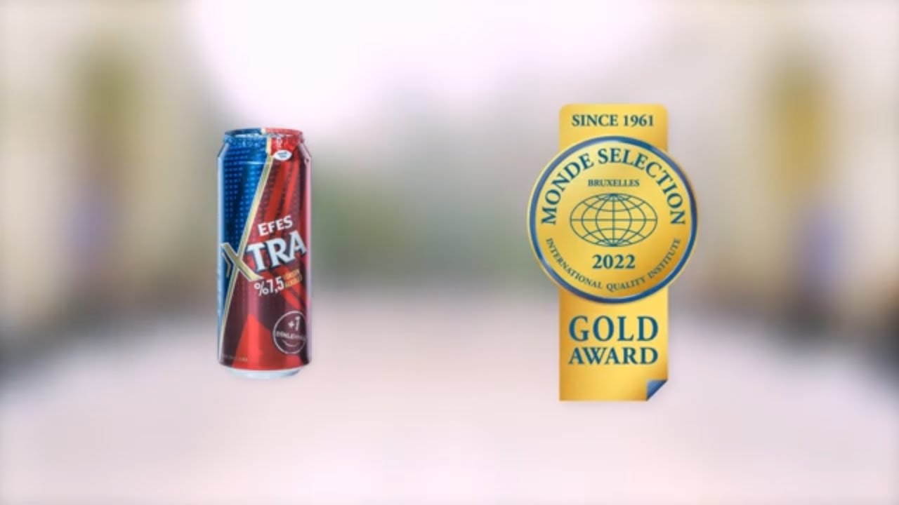 Efes Xtra (Can 50cl) - Gold Quality Award 2022 from Monde Selection ...