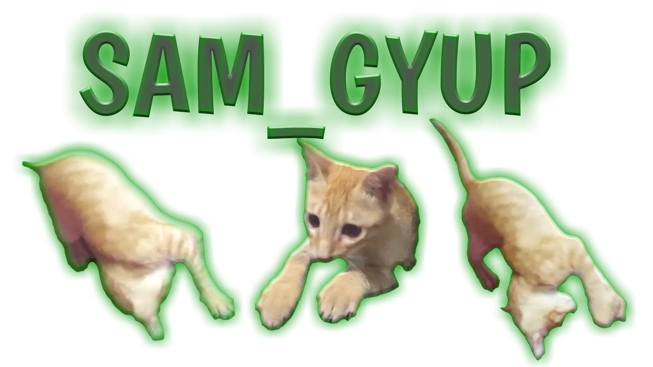 Samgyup Youtube