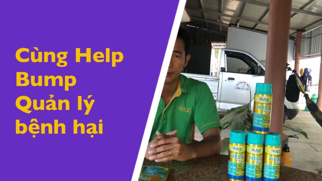 Quản lý bệnh hại trên lúa gia đoạn đòng trỗ cùng Bump 650WP và Help ...