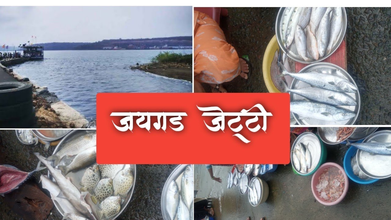 Jaygad Jetty|Jaygad Khadi|Ratnagiri Jaygad|Jaygad Fish - YouTube