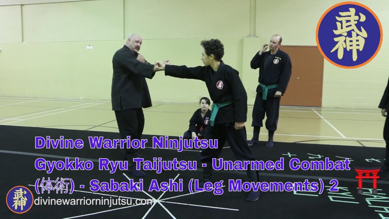 Gyokko Ryu Taijutsu - Unarmed Combat (体術) - Sabaki Ashi (Leg Movements ...