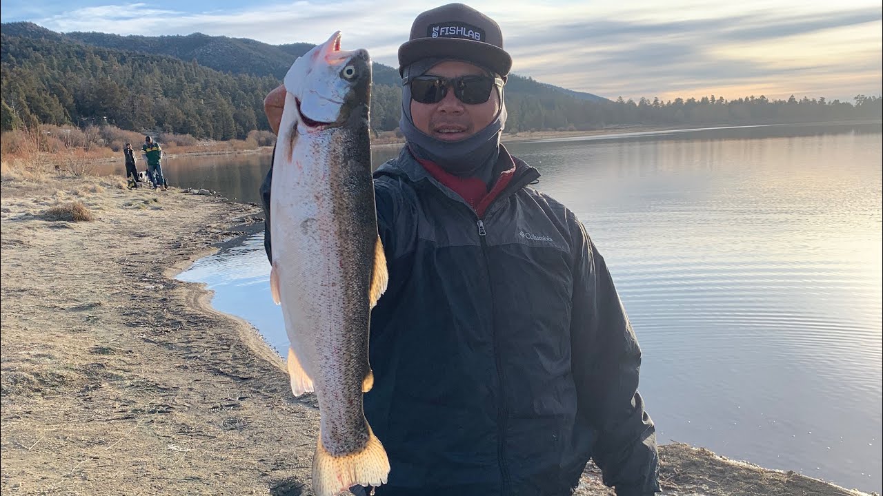 Big Bear Lake Trout Fishing *Juniper Point* - YouTube