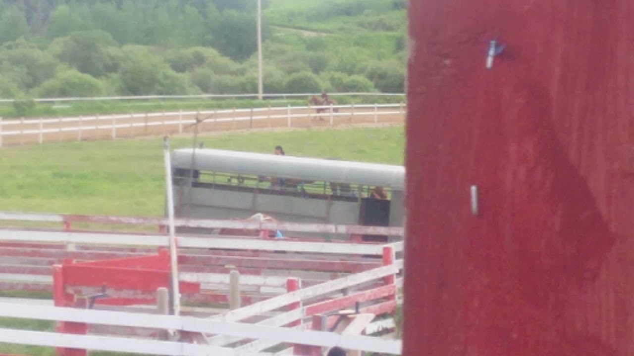 Indian Relay Racing Goodfish Lake,Alberta "Championship Final" 2019 ...