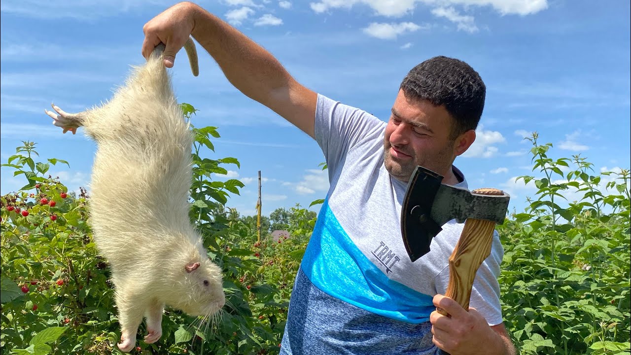 Fried big RAT | Rare MENU For Countryside Food | Recipe with sauce👍 ...