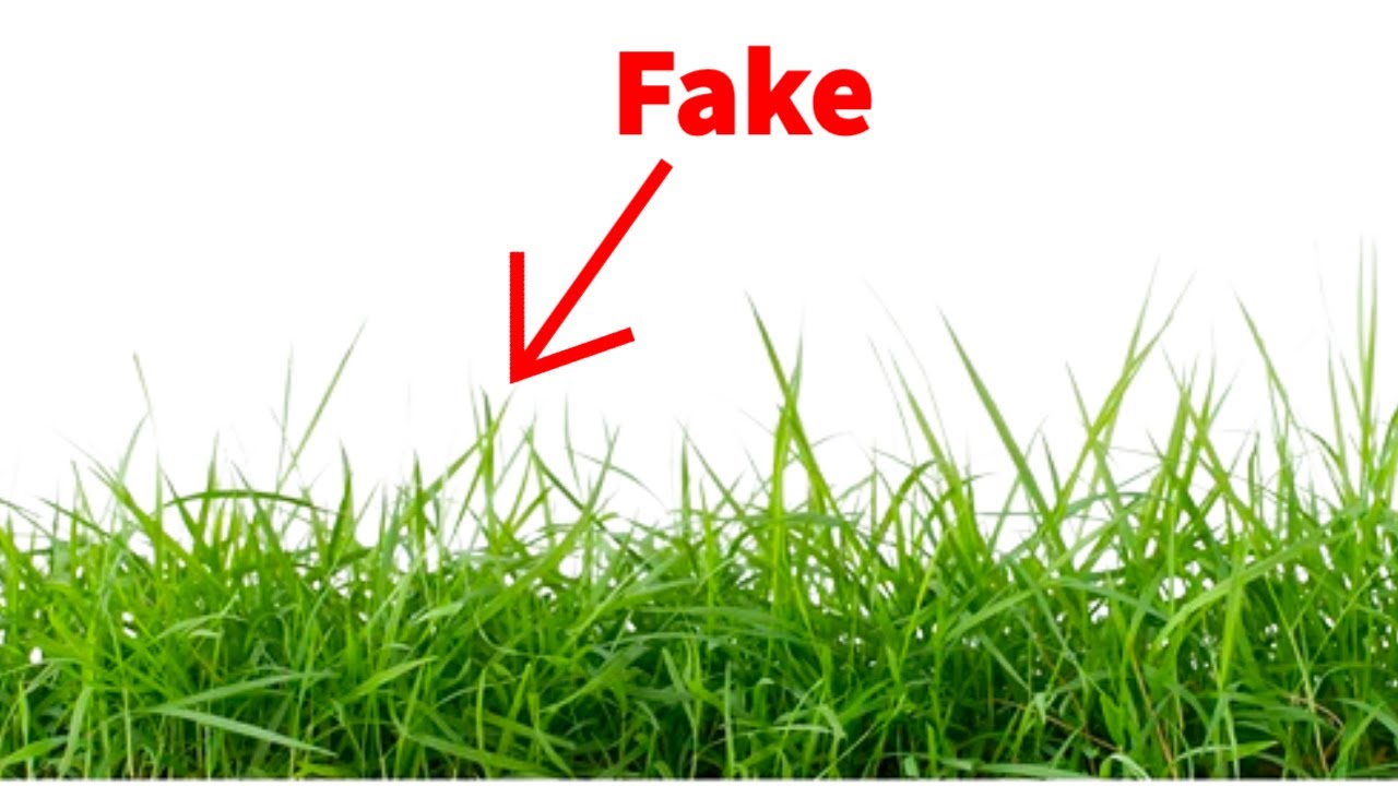 THE GRASS ISN'T REAL - YouTube
