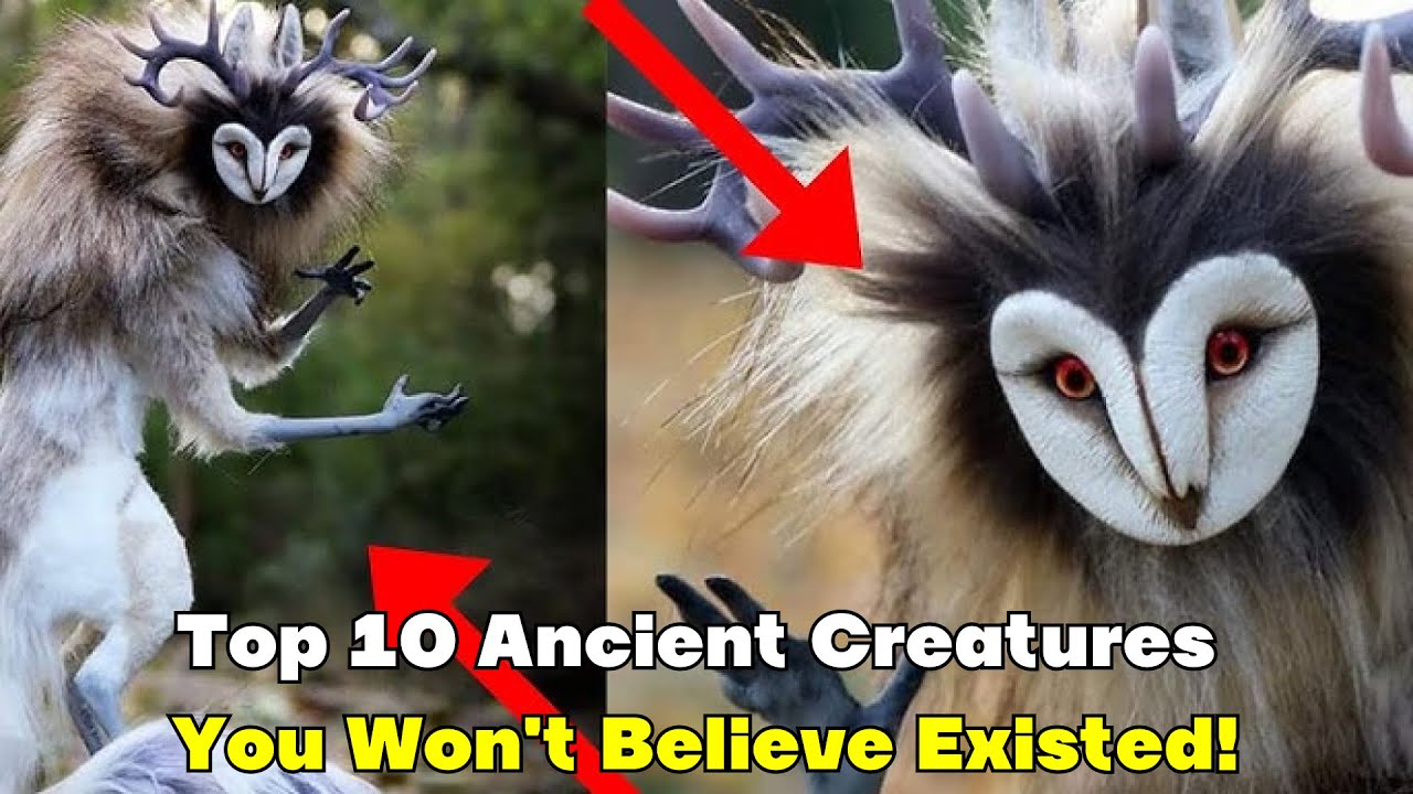 Top 10 Ancient Creatures You Won't Believe Existed! - YouTube