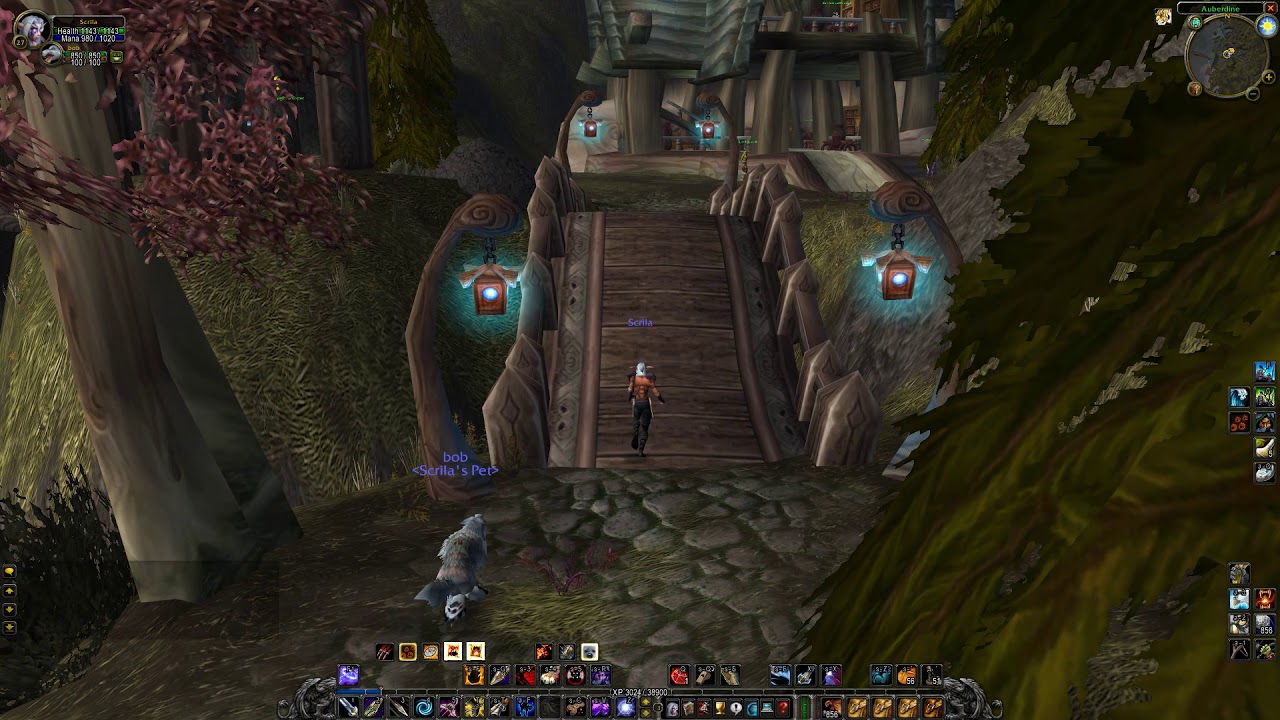 The Corruption Abroad (Turn in Point), WoW Classic Quest - YouTube