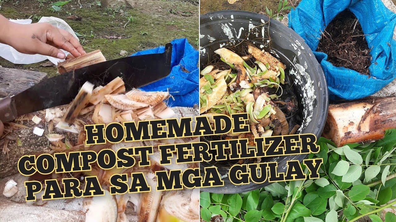 PANO GUMAWA NG COMPOST FERTILIZER| HOMEMADE FERTILIZER PARA SA MGA ...