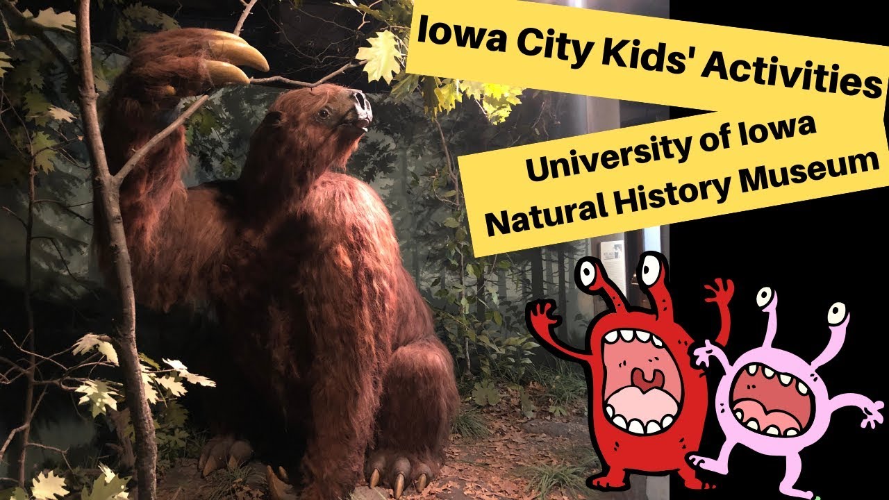 Things To Do In Iowa City -- University of Iowa Natural History Museum ...