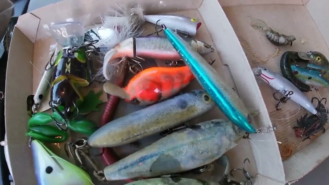 lure hunting 2022 - YouTube