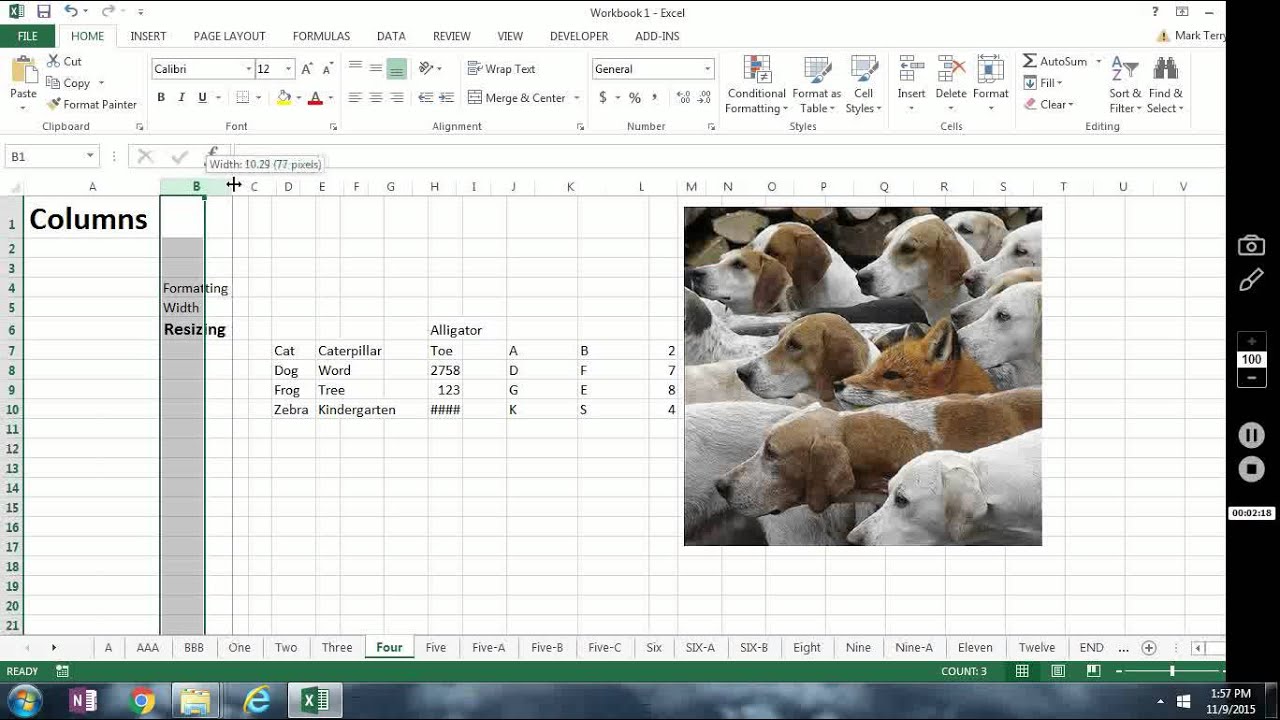 MG Excel Column Sizing - YouTube