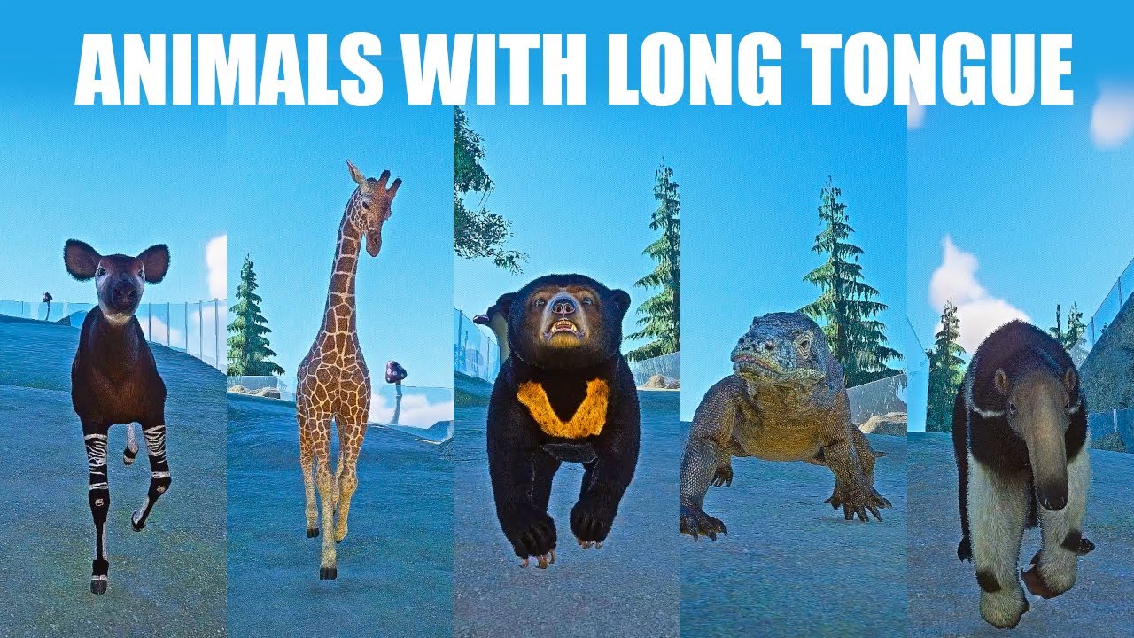 Animals with Long Tongue Speed Race in Planet Zoo included Okapi ...