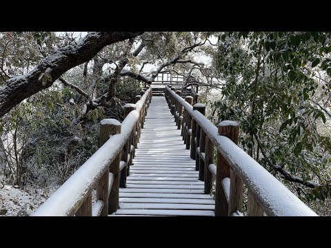 Sorpende nevada y viste de blanco a Chipinque - YouTube