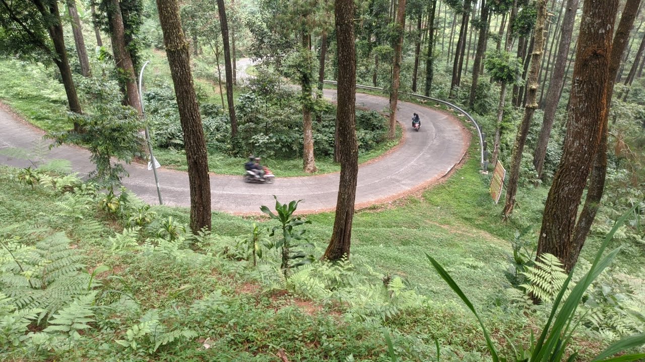 Fiza Fizi Jalan jalan - YouTube