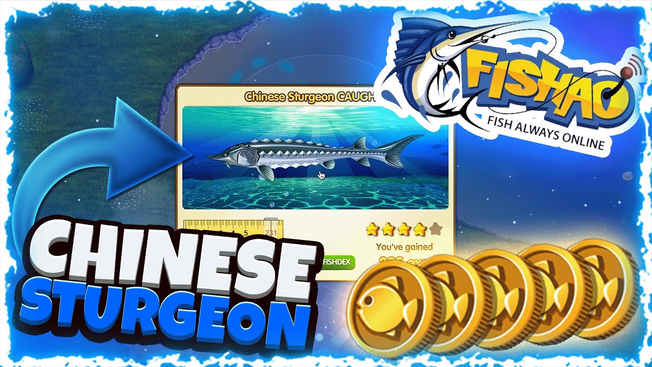 Chinese Sturgeon🦈| Fishao - YouTube