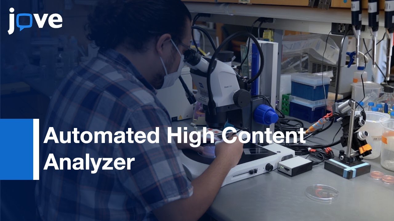 Automated High Content Analyzer for live Cell Microscopy of Embryo ...