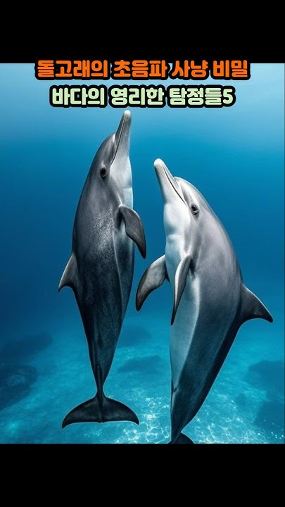 돌고래의초음파사냥비밀바다의영리한탐정들5#돌고래 #초음파사냥 #바다 - YouTube