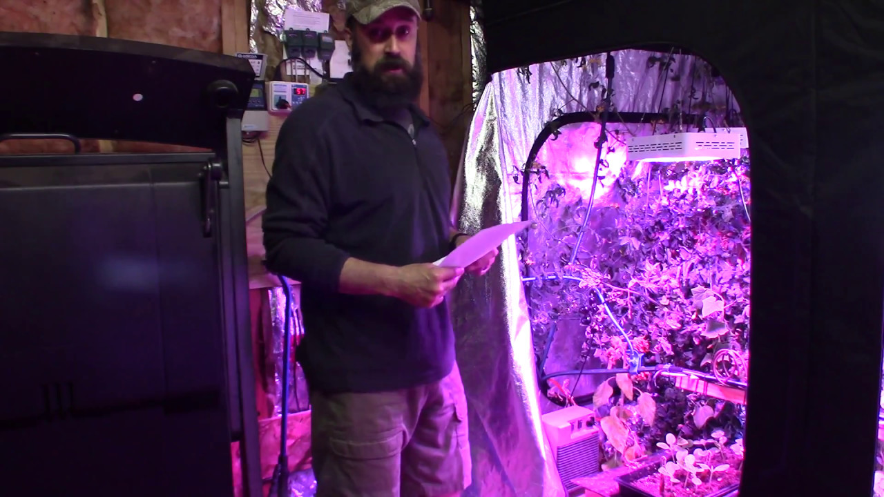 Grow tent setup for growing vegetables - YouTube