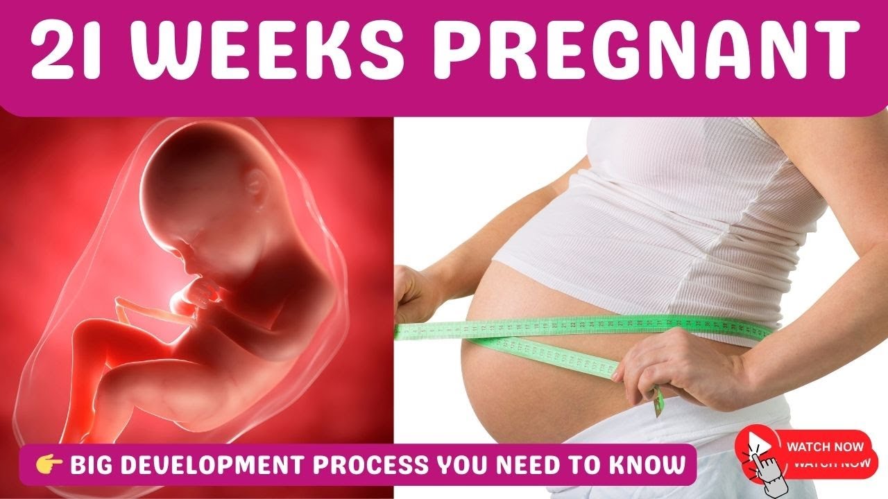 21 Weeks Pregnant: Baby's BIGGEST Growth Spurt & MUST-KNOW Changes ...