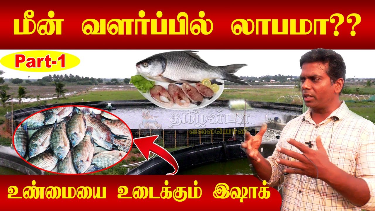 மீன் வளர்ப்பில் லாபமா!! உண்மையை உடைத்தார் இஷாக் பாஷா I Biofloc I fish I ...