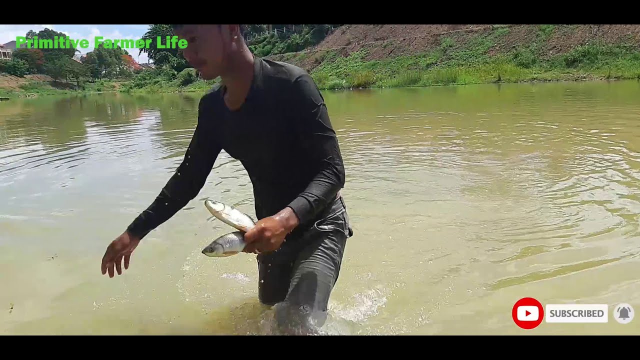Amazing catch Fish and crocodile by hand | Grab a crocodile - YouTube