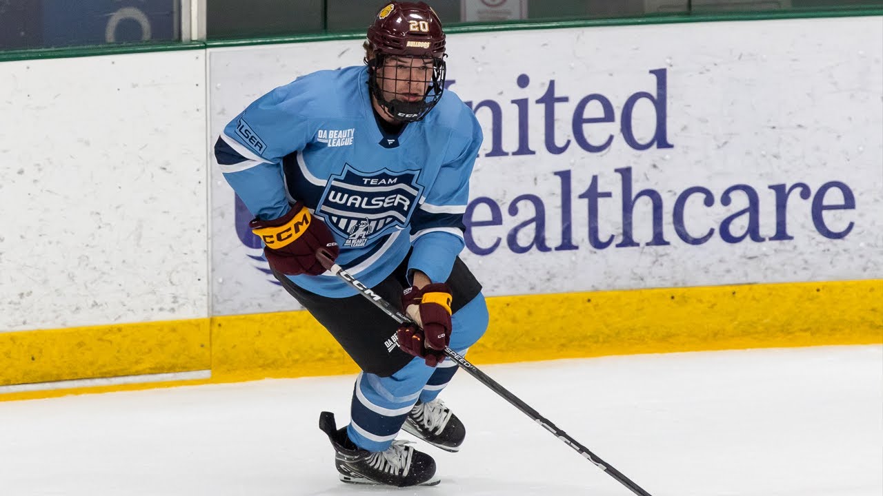 Toronto Maple Leafs Prospect Michael Koster Scores Highlight Reel Goal ...