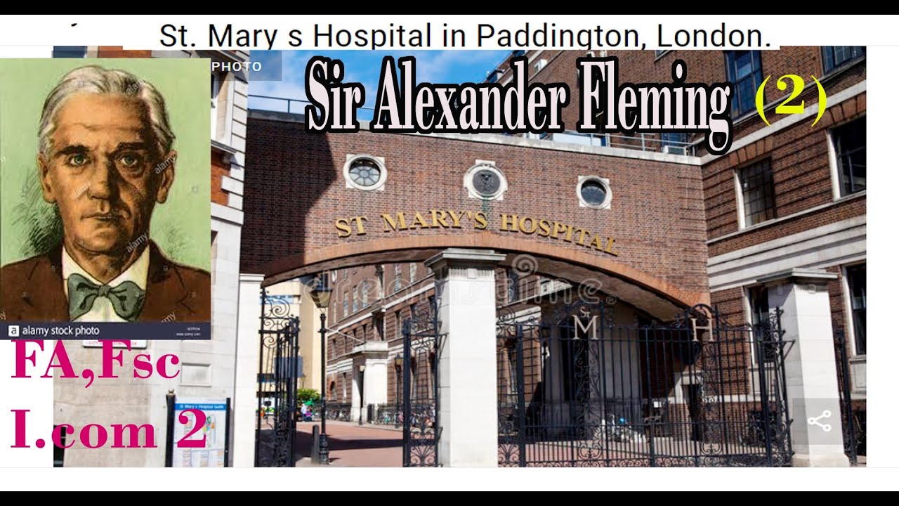 2nd Year English Sir Alexander Fleming Part 2 Translation by Brave Mian ...