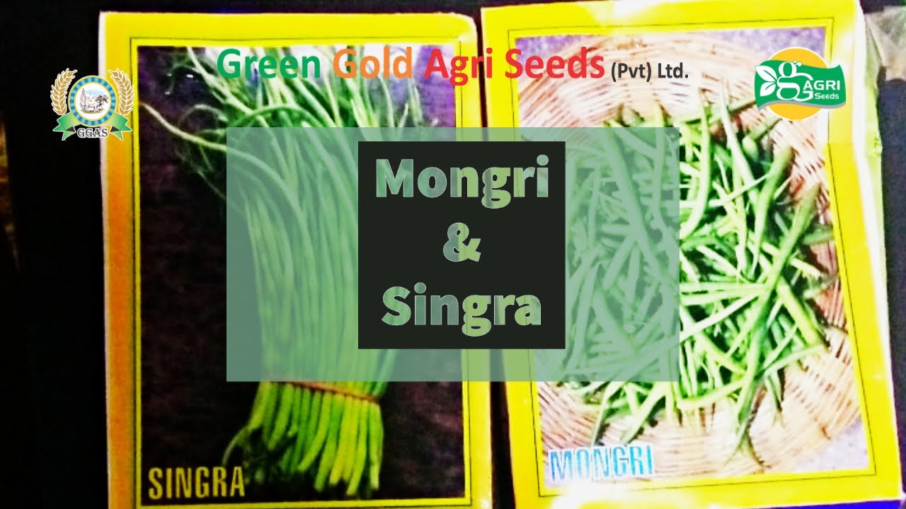Mongri & Singra ll kitchen Garden ll BY GGAS - YouTube