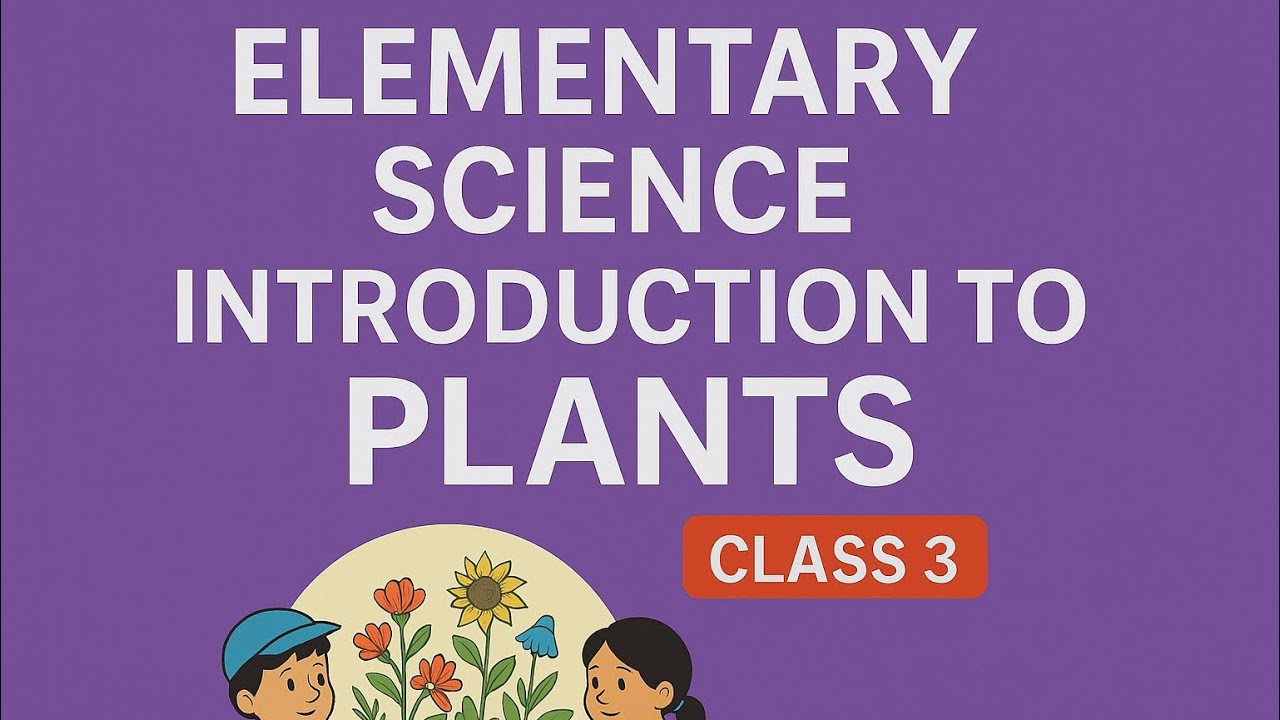 class 3। Introduction to plants । Elementary Science । Chapter 1। 2025 ...