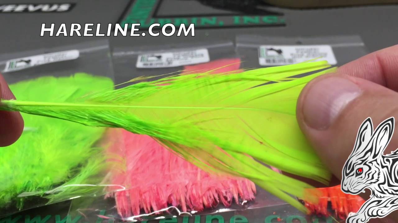 Intruder Feather Prop Feather - YouTube