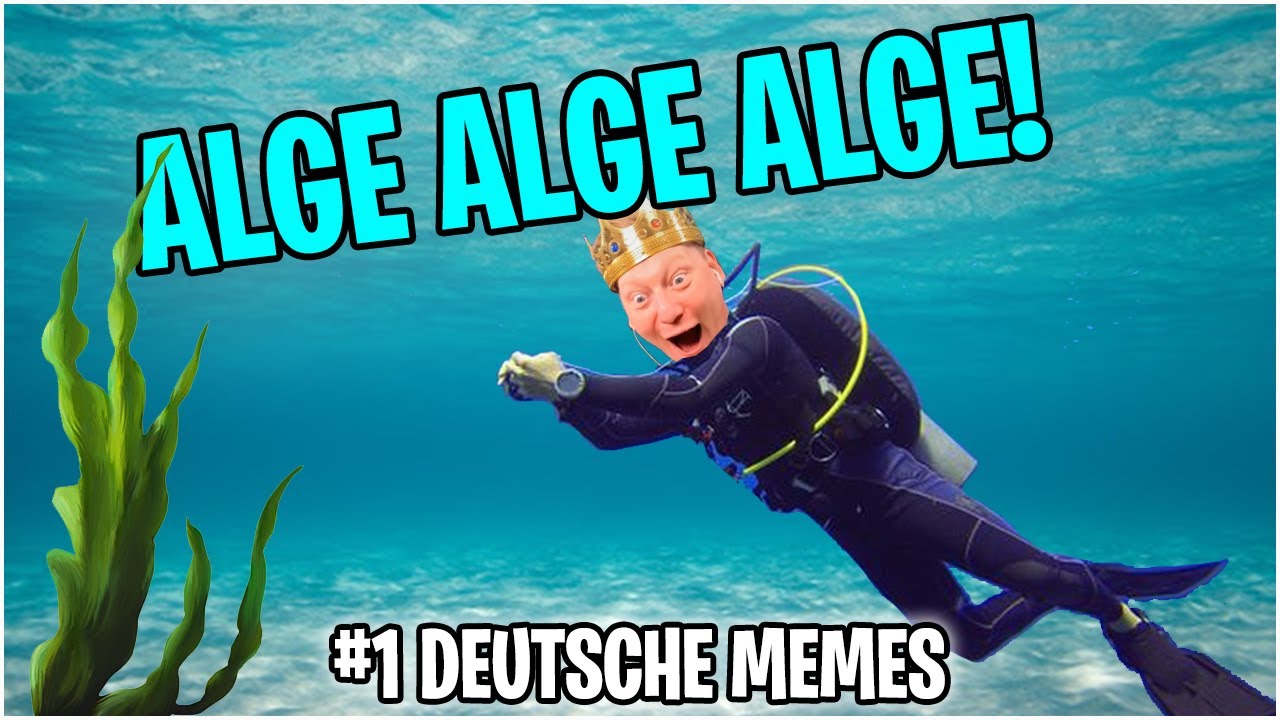 Knossi taucht nach Algen! [Meme] - YouTube