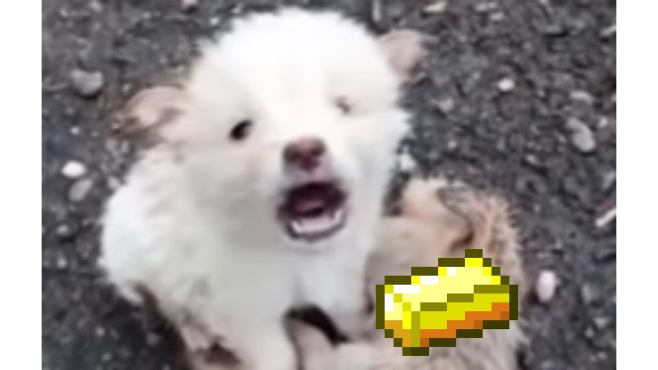 Chaining down the furries (in minecraft) - YouTube